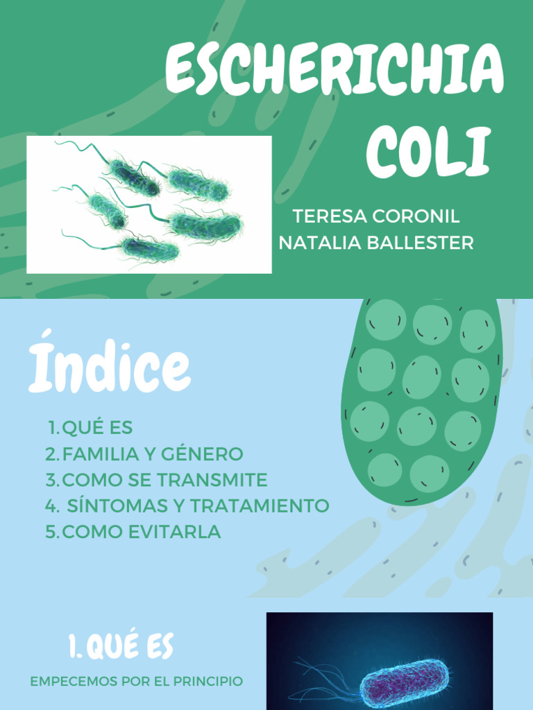 Escherichia Coli | PDF