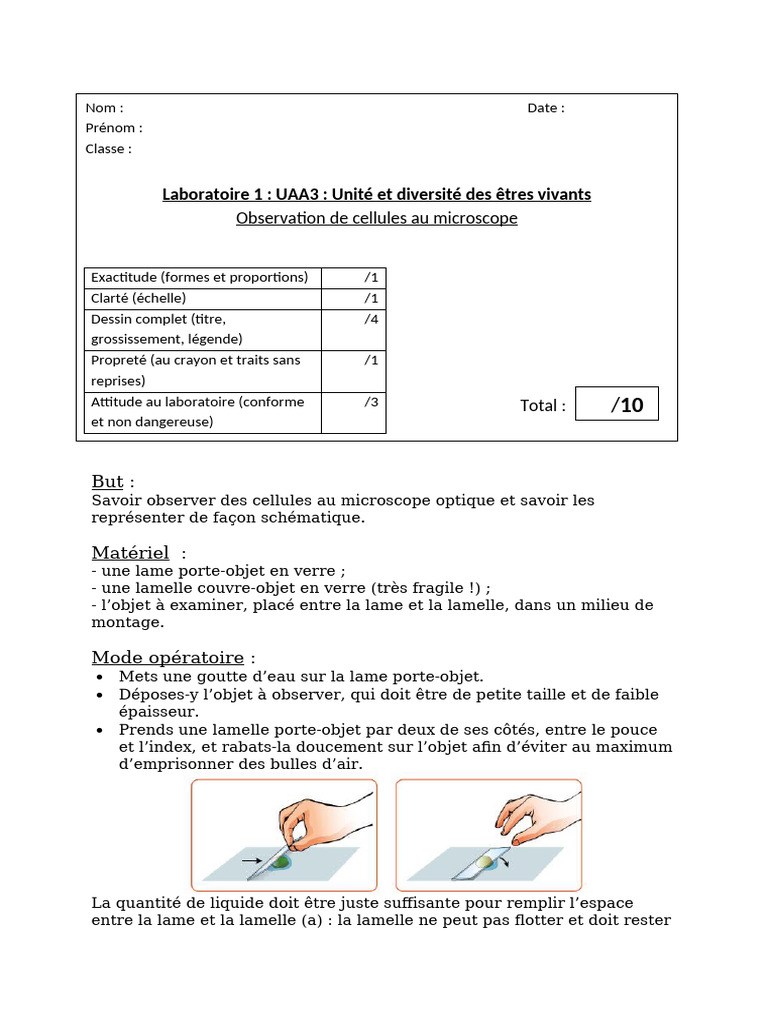 4SB. Bio. UAA3. Partie 1. Laboratoire 1. Observation Cellules Au ...