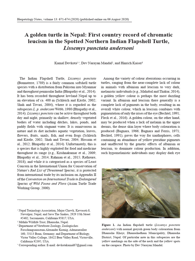 A Golden Turtle in Nepal: First Country Record of Chromatic Leucism in ...