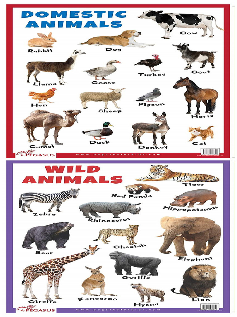 Wild and Domestic Animals | PDF