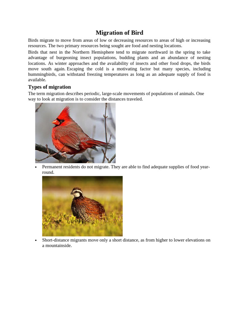 Why Do Birds Migrate | PDF