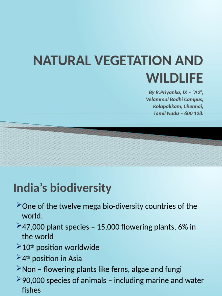India's Natural Vegetation and Wildlife | PDF | Ecosystem | Home & Garden