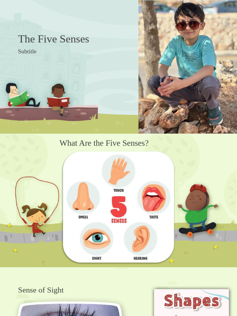 The Five Senses | PDF