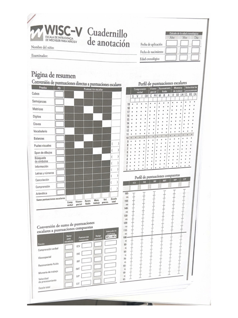 TEST WISC | PDF