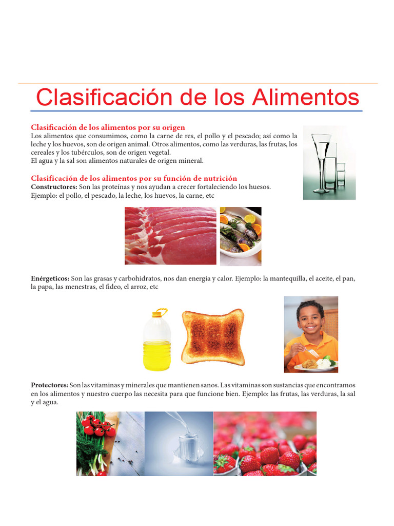 Clasificación de Los Alimentos para Segundo de Primaria | PDF