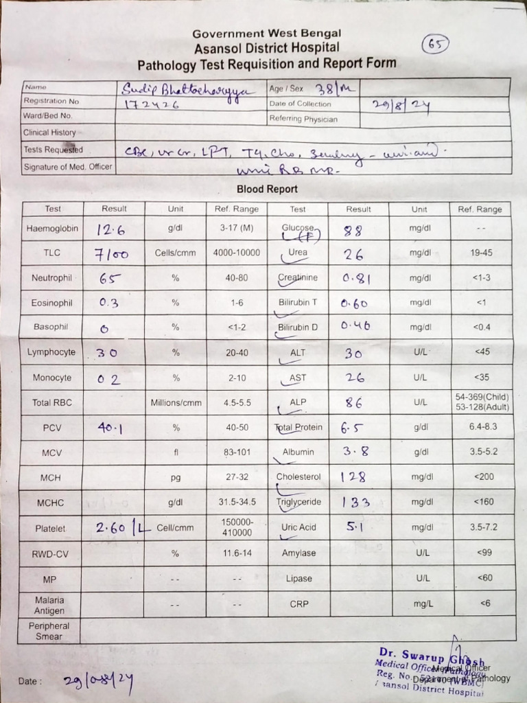 Complex Reports - 1 | PDF