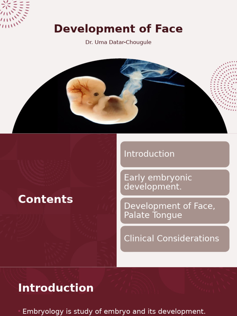 Development of Face. | PDF