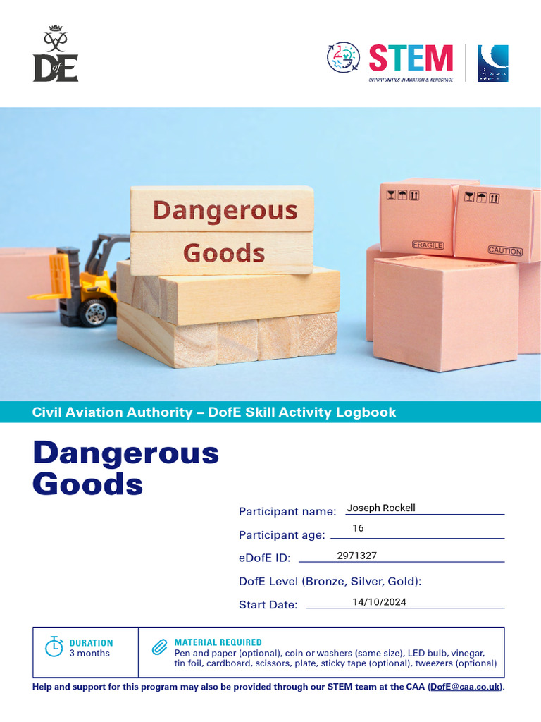 Dangerous Goods Activity Sheet | PDF