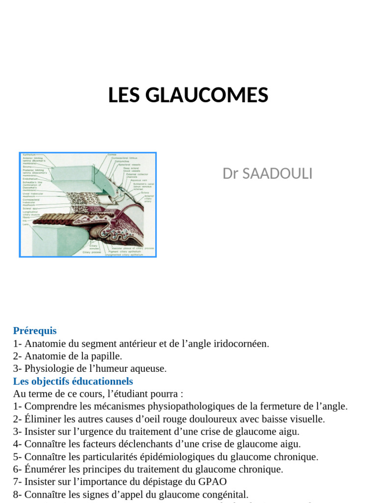 4-Les Glaucomes | PDF | Glaucome | Médecine clinique