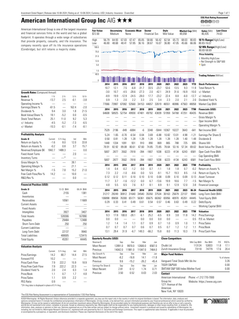 AIG Investment Report | PDF