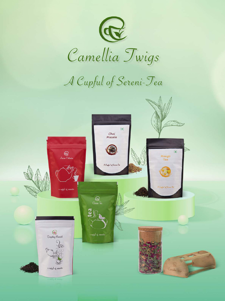 CT_Brochure_02-compressed | PDF