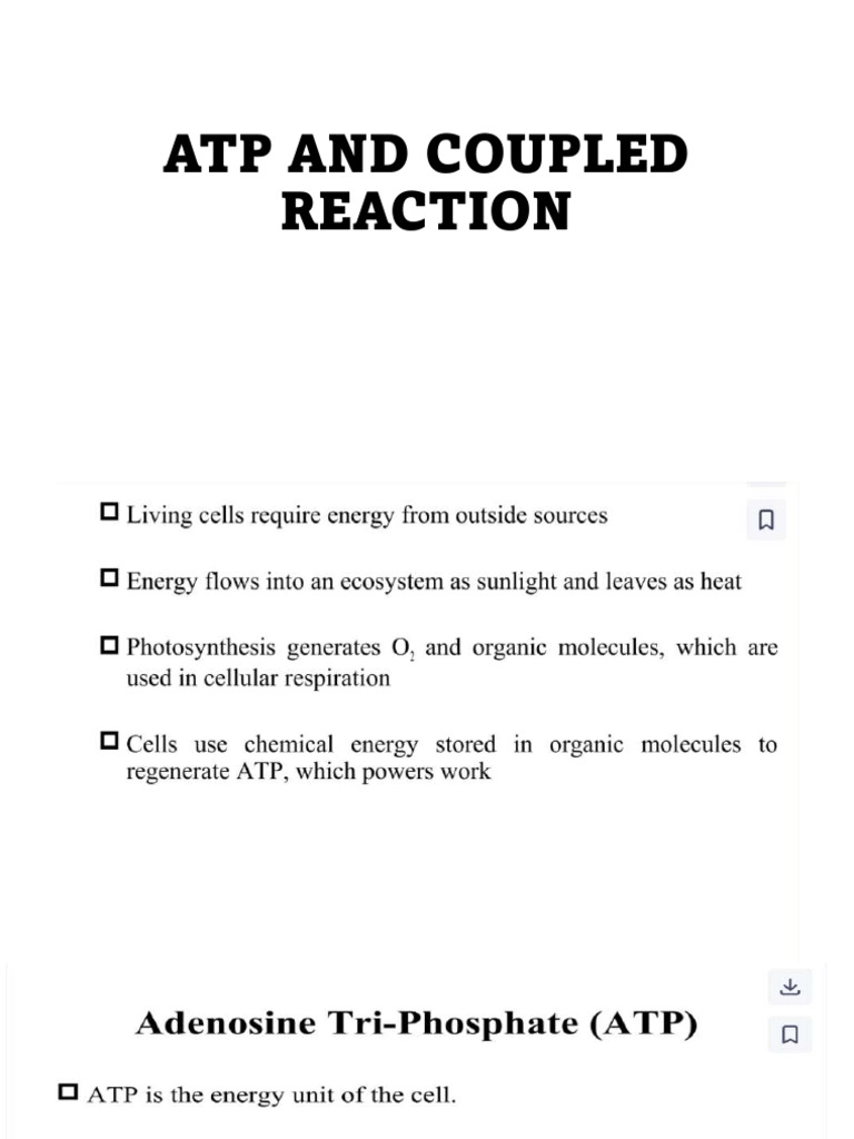 Atp and Coupled Reaction | PDF