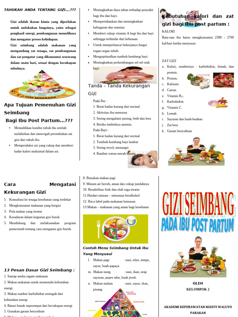 Leaflet Nutrisi Post Partum | PDF