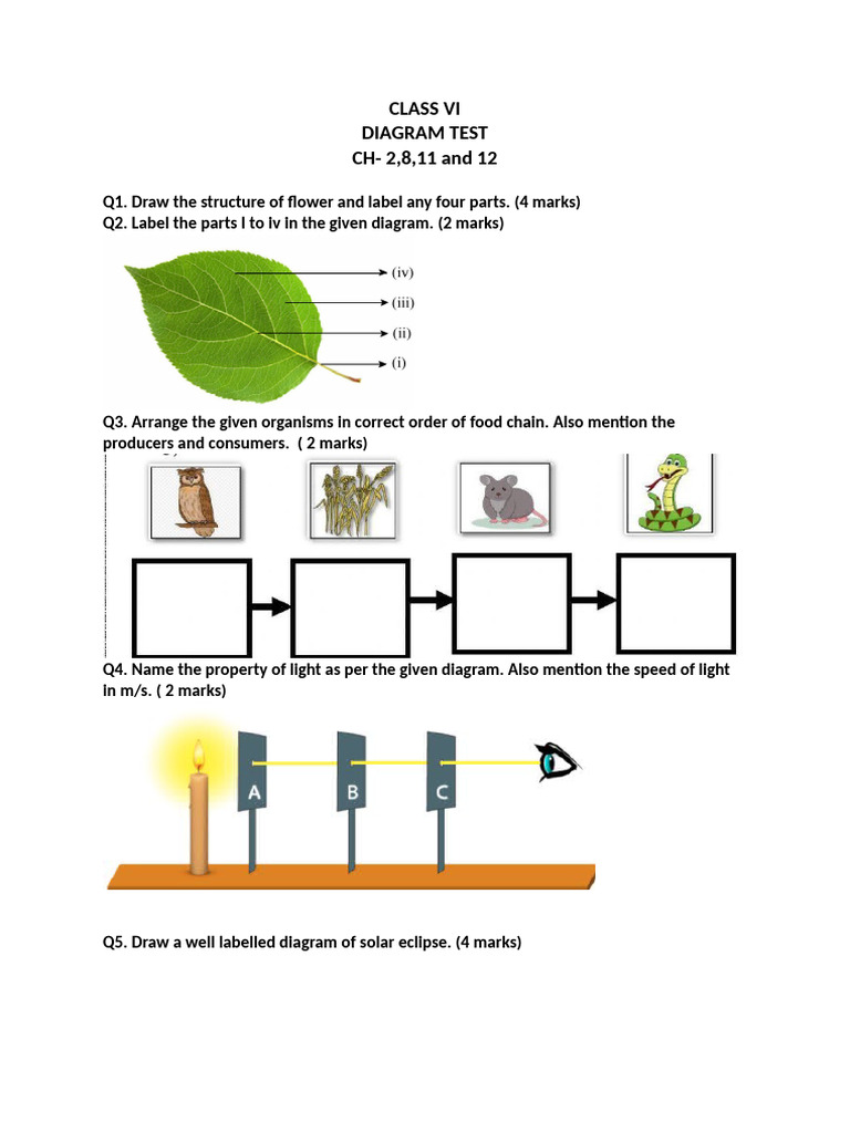 Class Vi Diagram Test | PDF