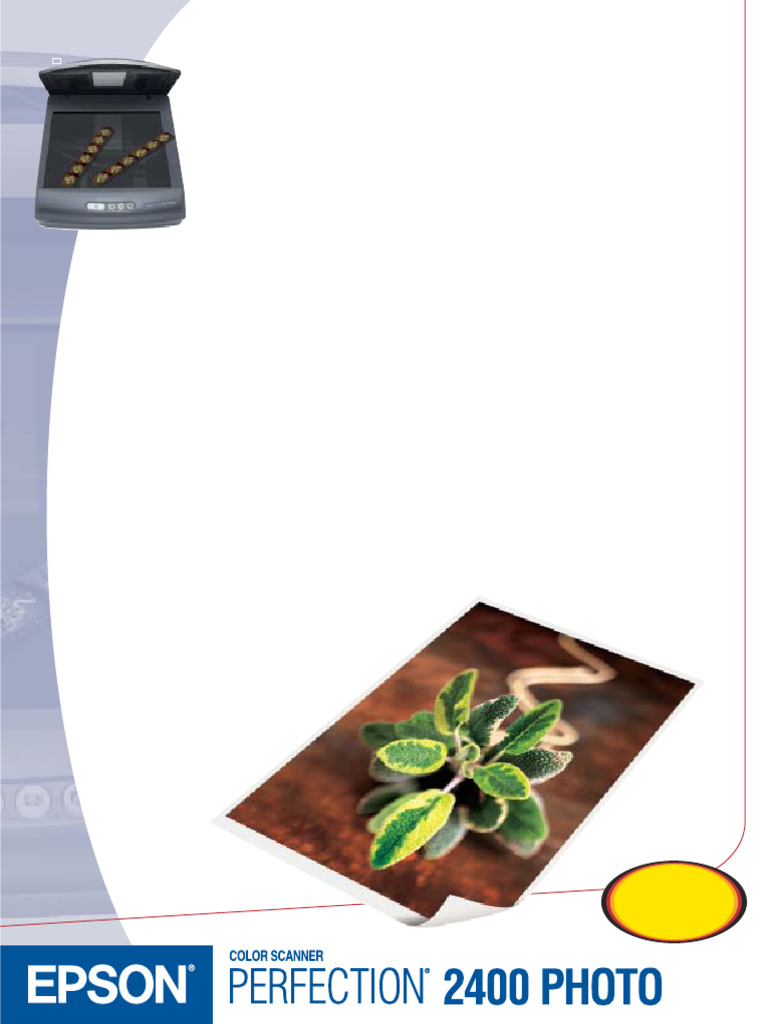 Epson Perfection 2400 Photo Brochure | PDF