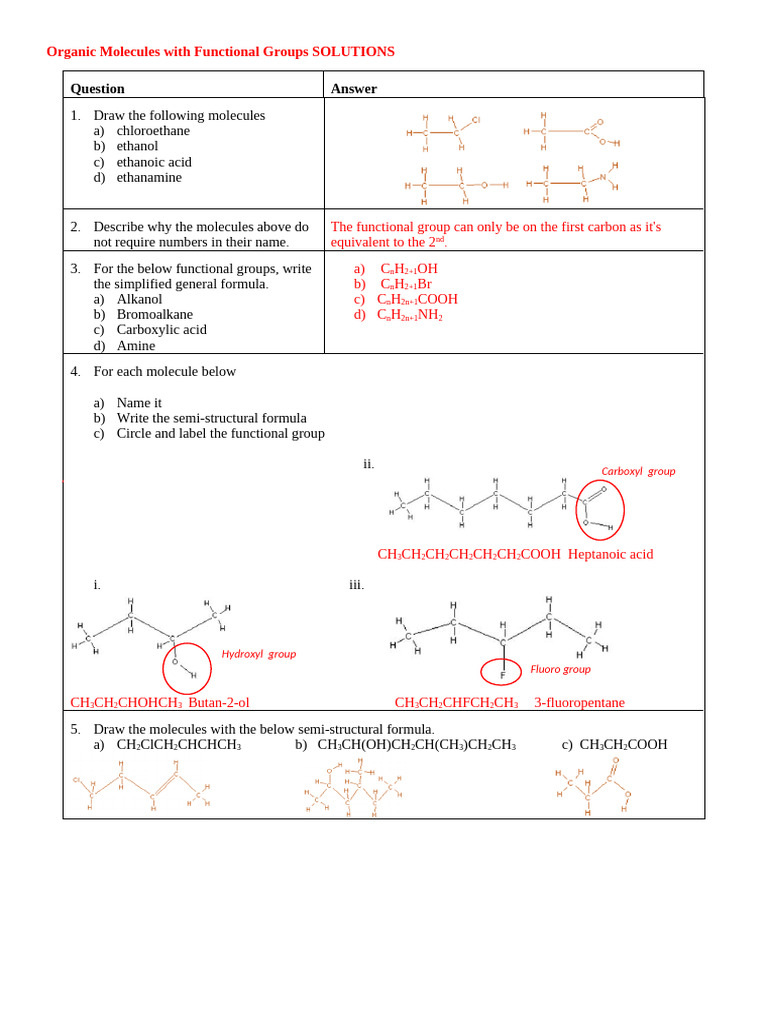 24B. Organic Molecules With Functional Groups Worksheet (Solutions) | PDF