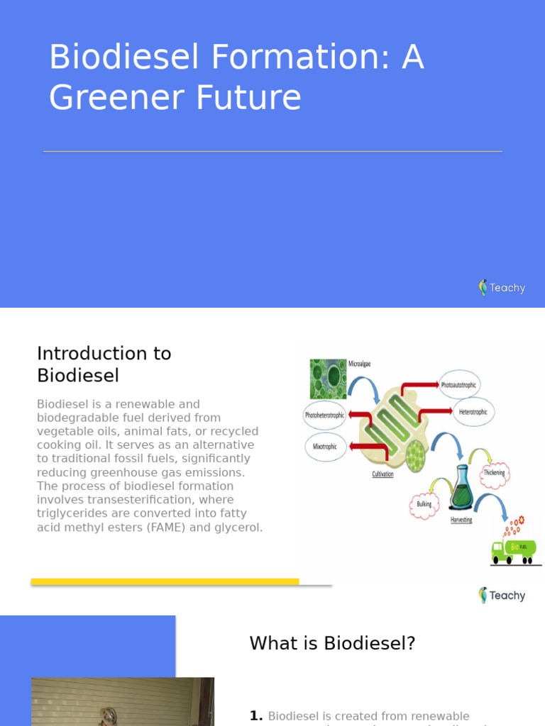 Slide Bio Diesel Formation | PDF