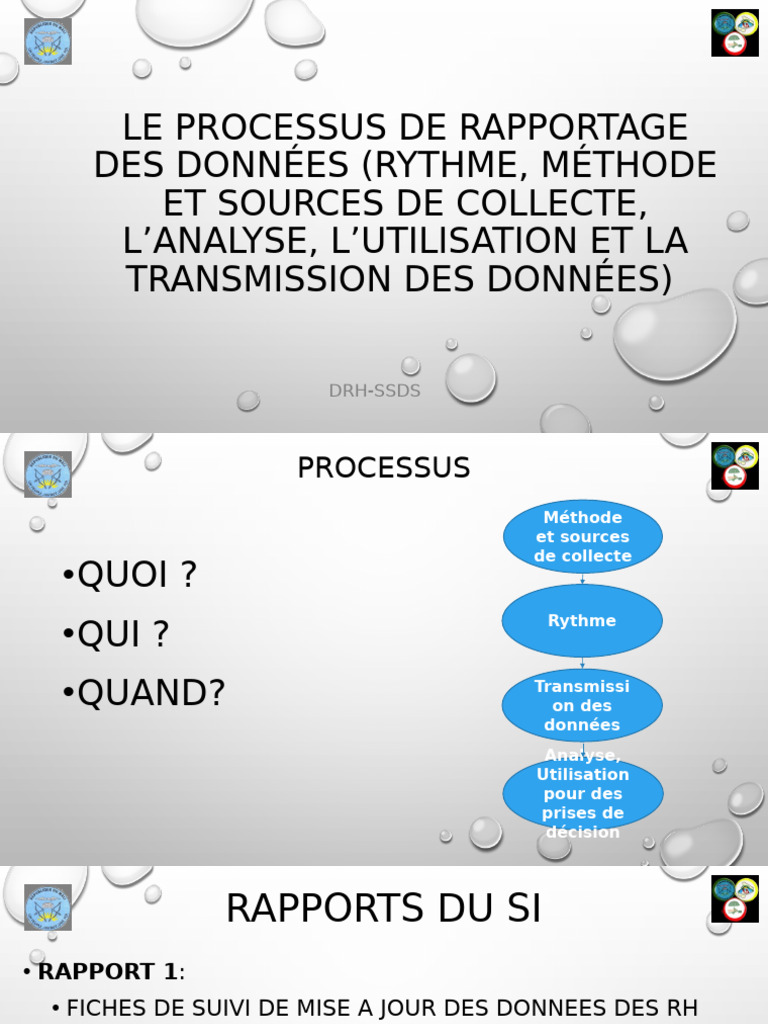 Processus de Rapportage Des Données | PDF