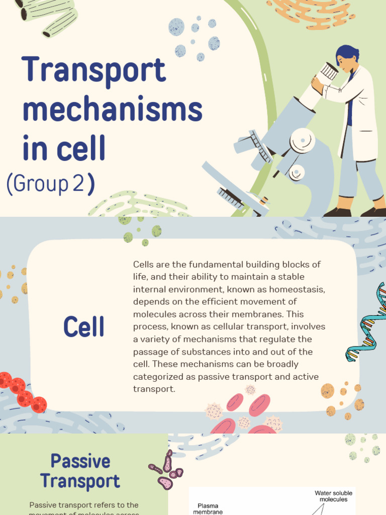 Cellular Transport Mechanisms | PDF | Cell Membrane | Biochemistry