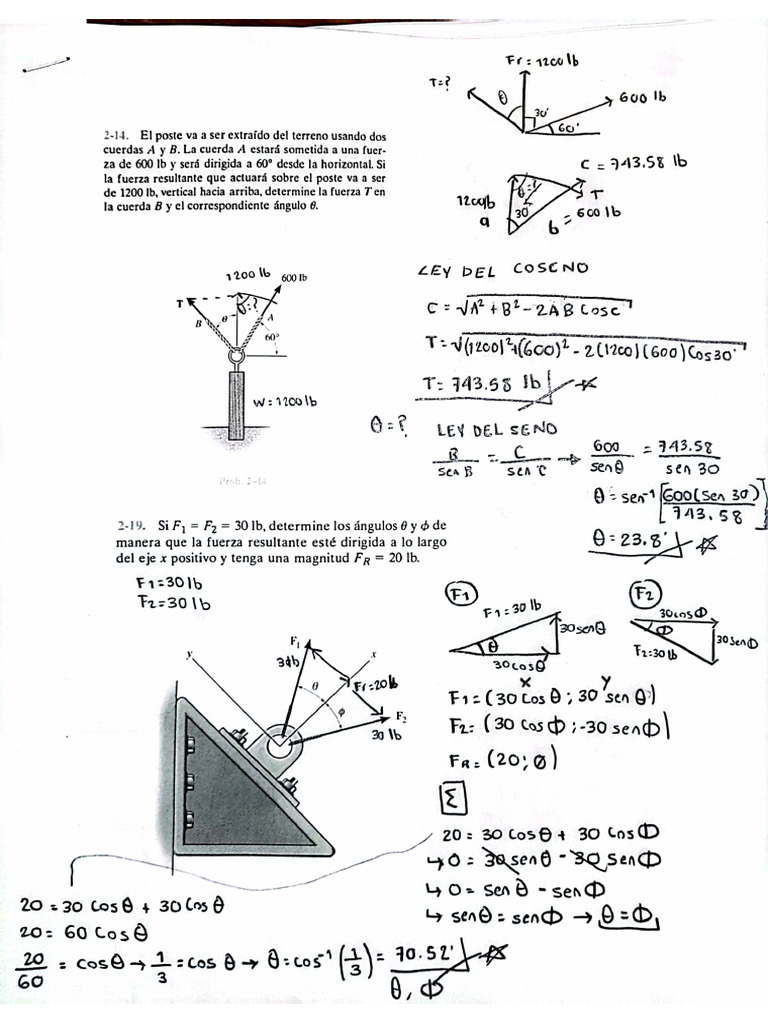 Actividad Fundamental Estática | PDF