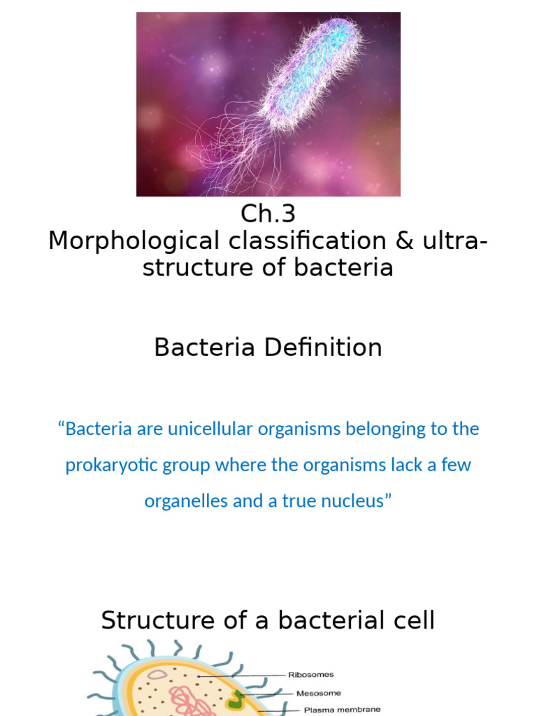 Ch.3 Morphological Classification & Ultra-Structure of Bacteria | PDF
