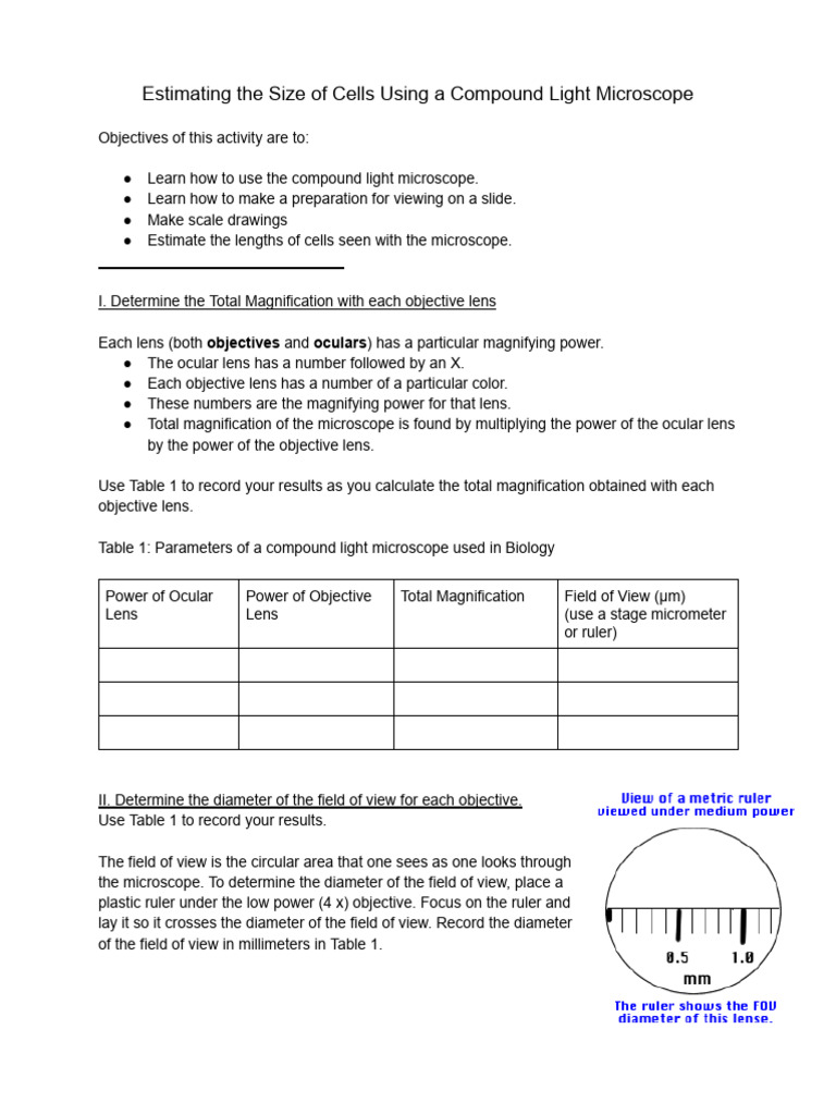 Act 1 Calculating Cell Sizes Activity | PDF