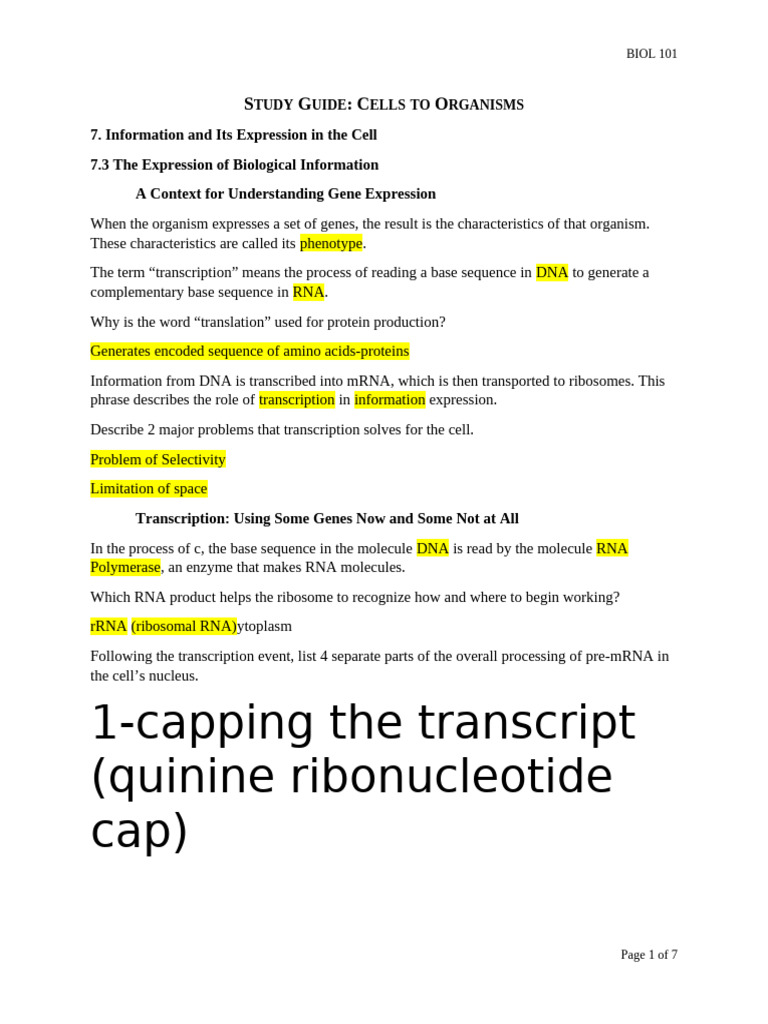 Study Guide Cells To Organisms | PDF | Translation (Biology) | Mitosis