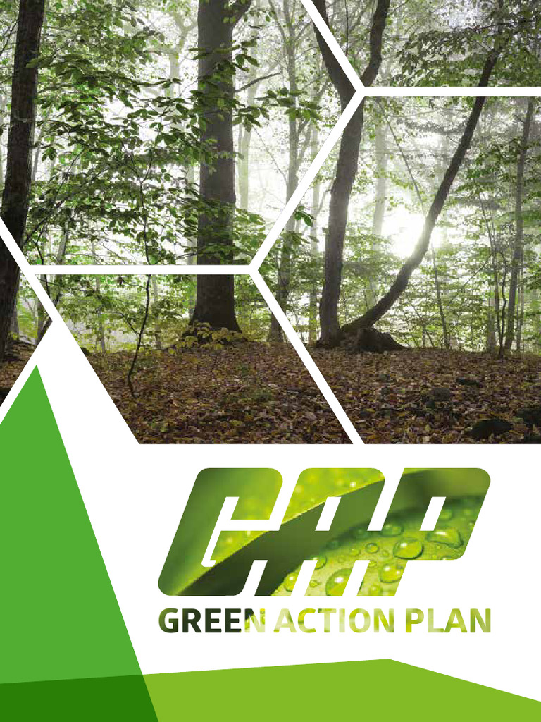 Green_Action_Plan_-_Web_Version_original | PDF