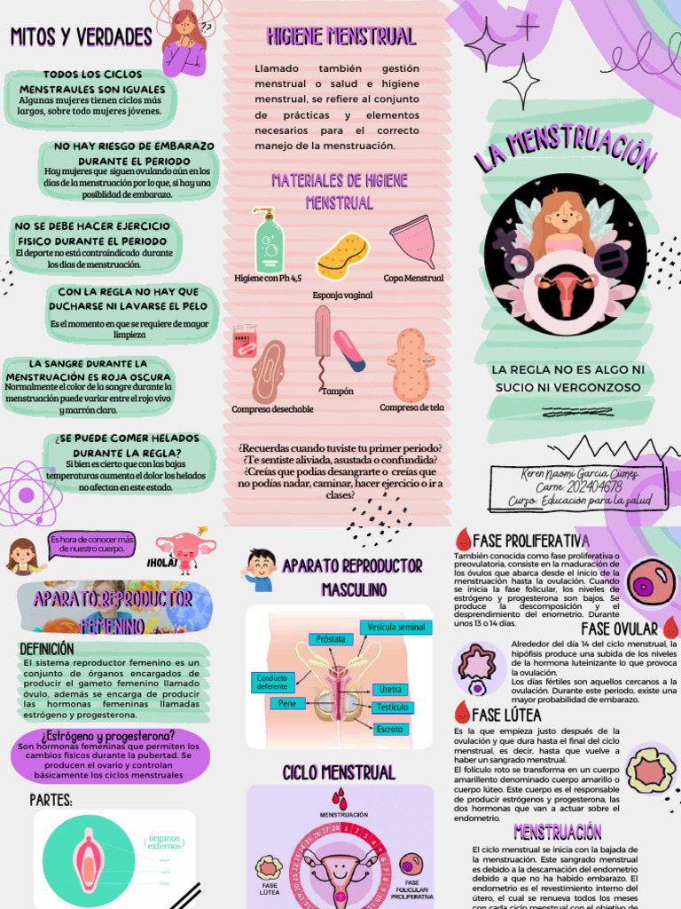 Tríptico de La Menstruación | PDF