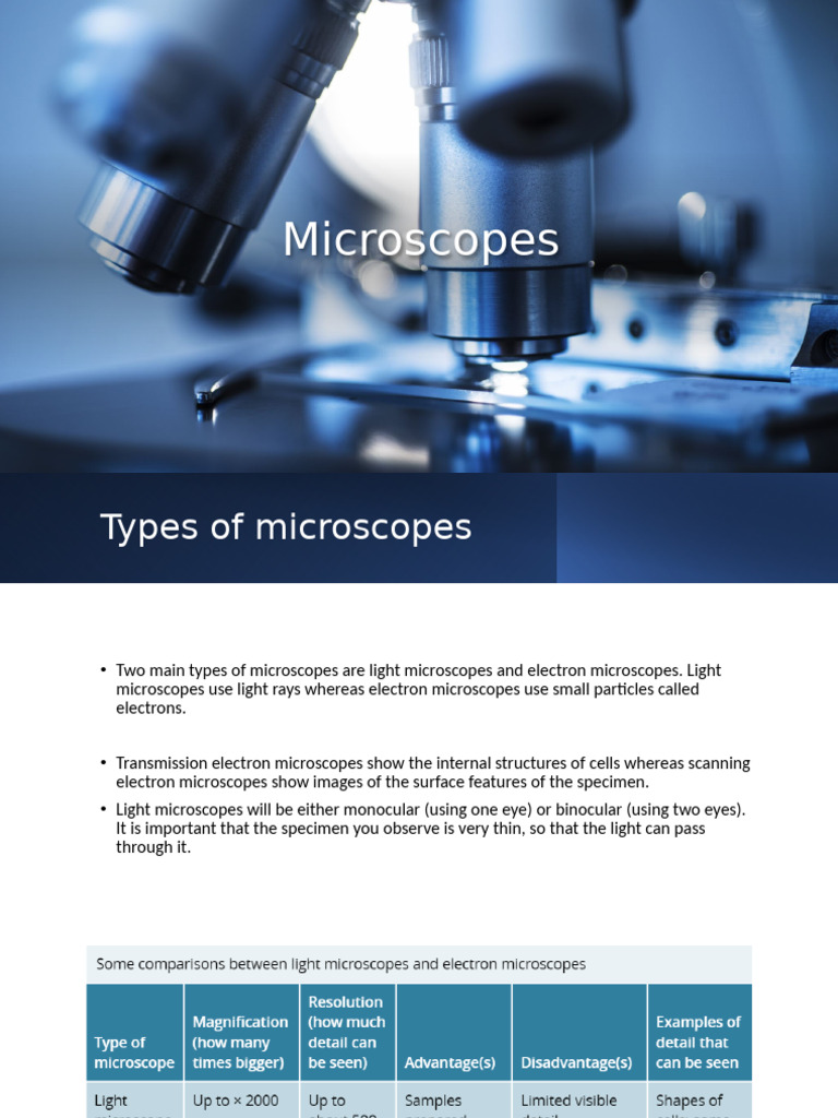 02 Microscopes | PDF