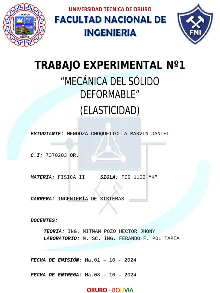 CARATULA Fis 2024 - TRABAJO EXP 1 | PDF