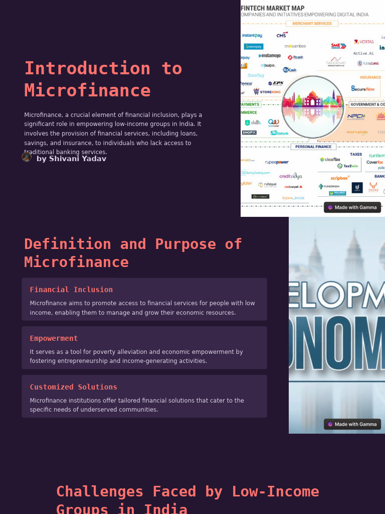 Introduction To Microfinance | PDF