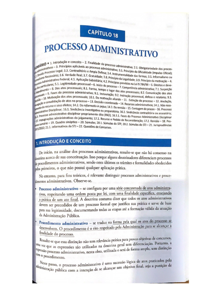 Processo Administrativo | PDF