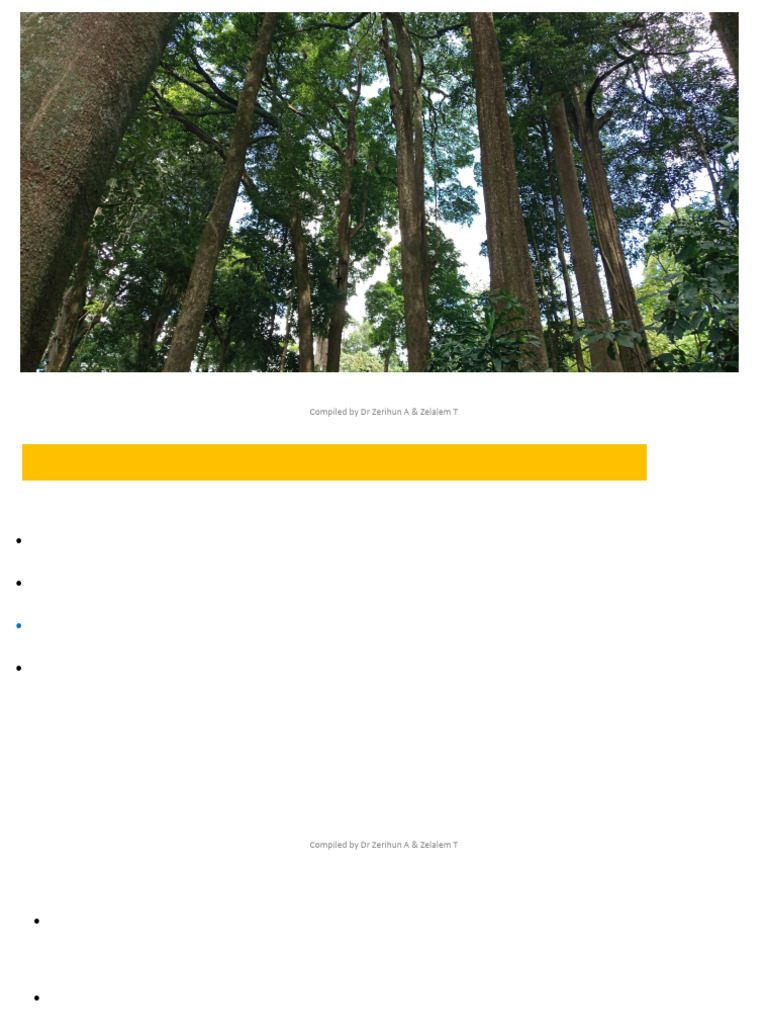 NFI Forest Mensuration training 2023 | PDF NFI Forest Mensuration training 2023 | PDF