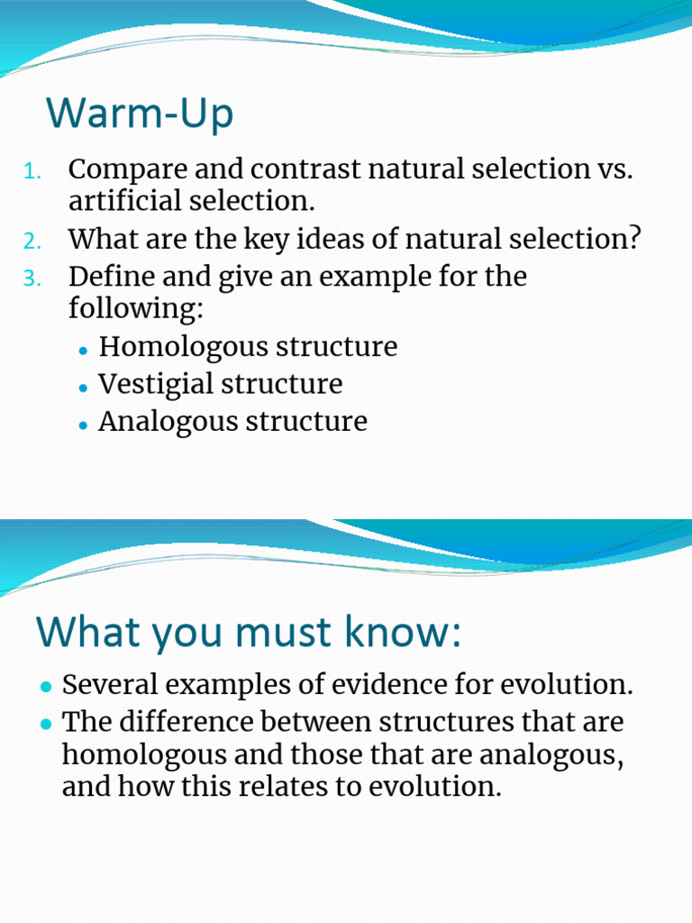 Evidence For Evolution - ppt-1 | PDF
