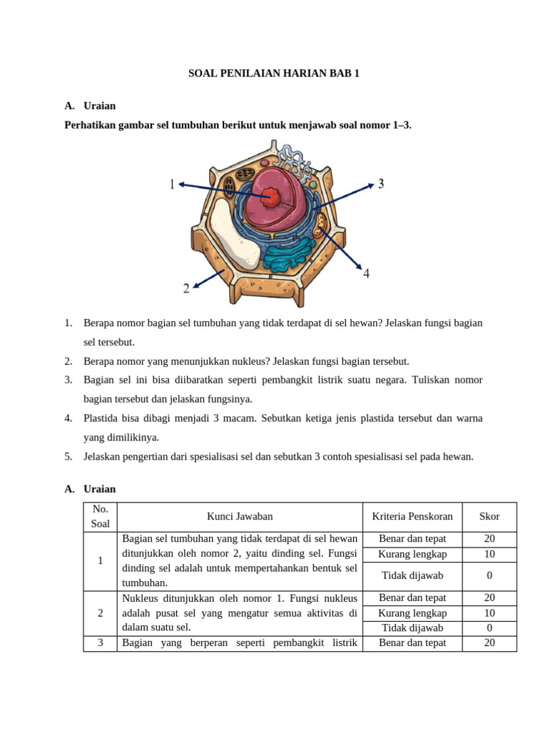Soal Ulangan Harian Pengenalan Sel Bab1 Kelas 8 | PDF