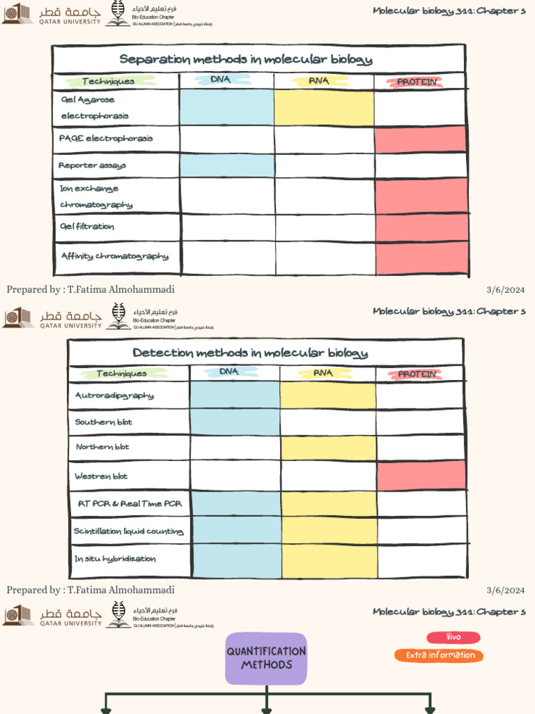 Molecularbiology311 Chapter5 Mind Map 2024 | PDF
