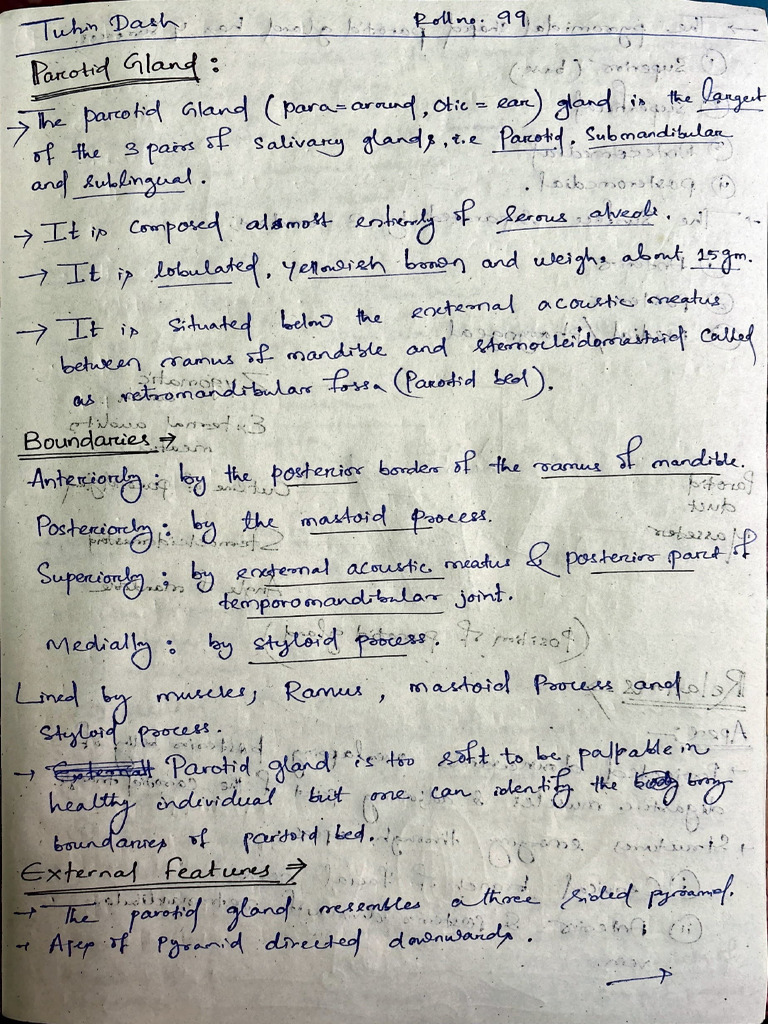 Anatomy Assignment | PDF