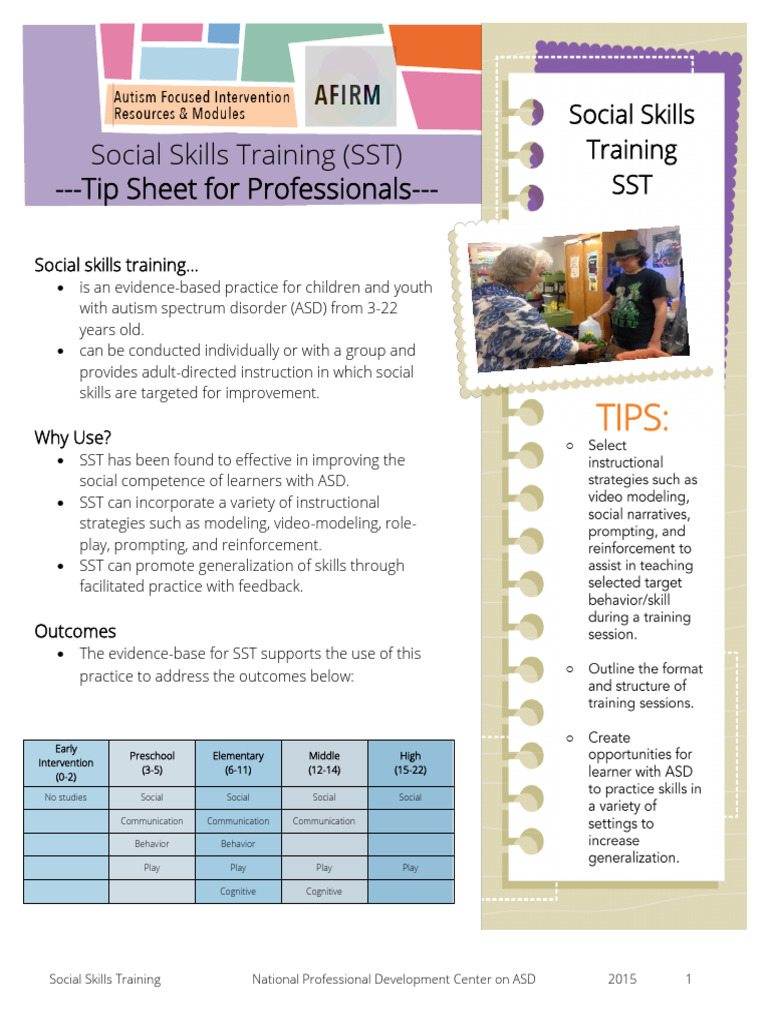 Professional Tip Sheet For SST | PDF