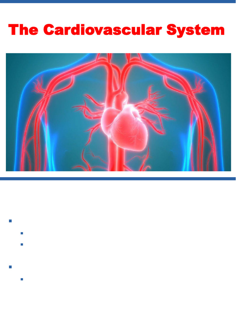 Cardiovascular 8 | PDF