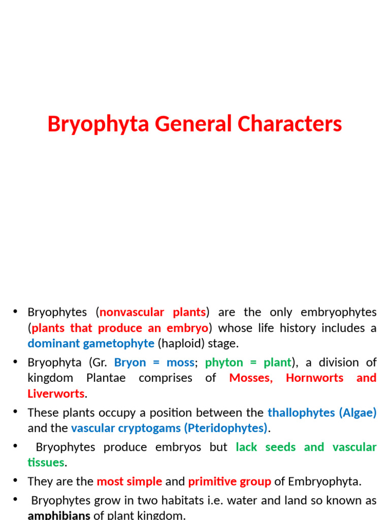 Bryophyta: Characteristics and Origin | PDF | Spore | Science & Mathematics