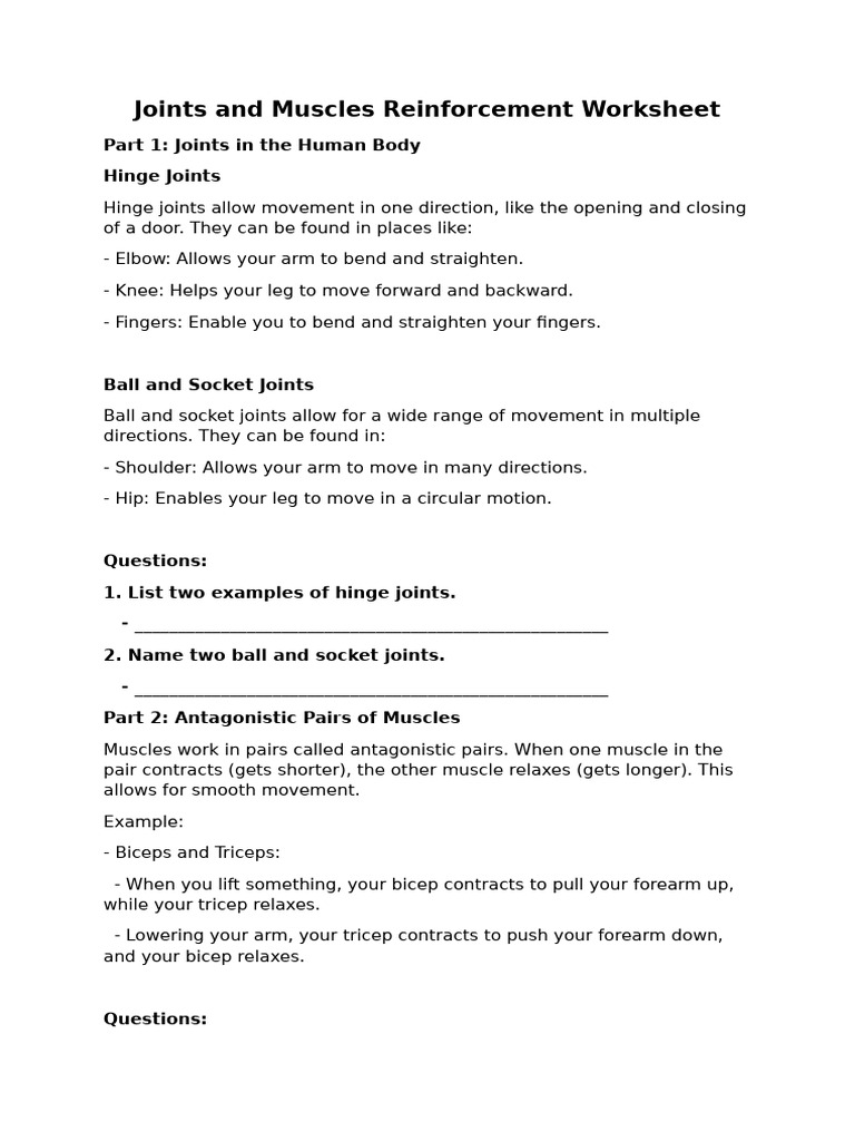Joints and Muscles Reinforcement Worksheet | PDF