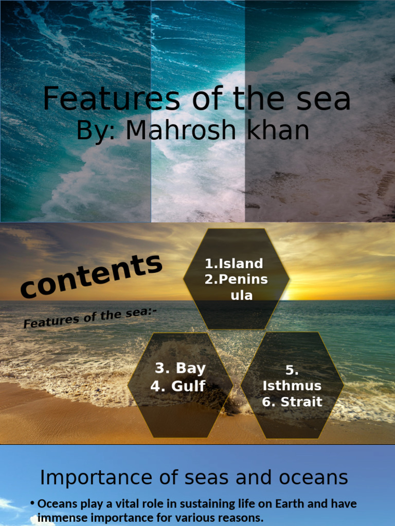 Features of The Sea by Mahrosh, 8F | PDF