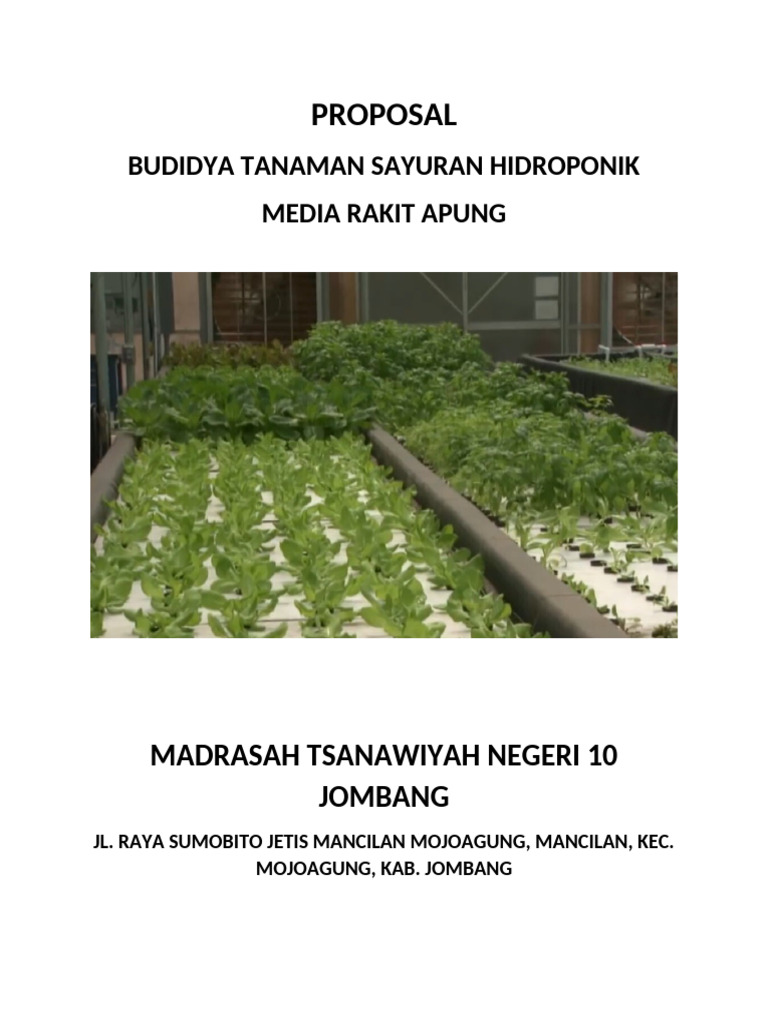 Proposal Hidroponik | PDF