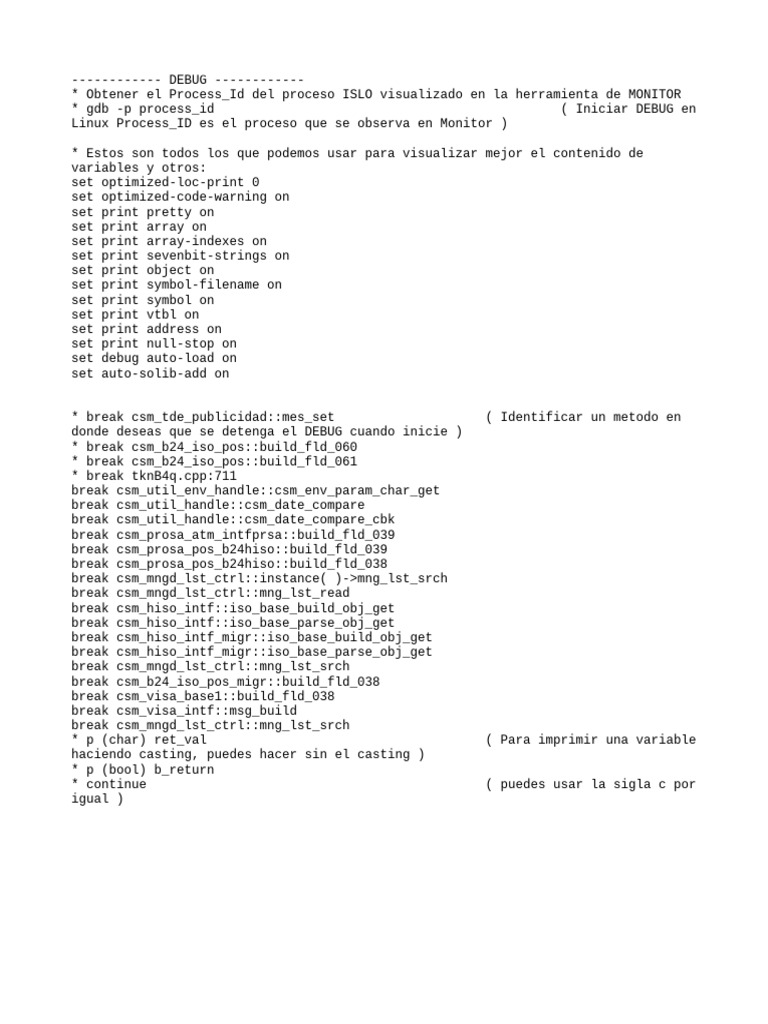 Info Procedimiento DEBUG LINUX | PDF | Informática | Tecnología