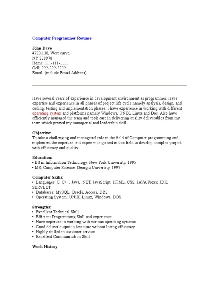 Computer Programmer Samples | Download Free PDF | Programmer | Computer ...