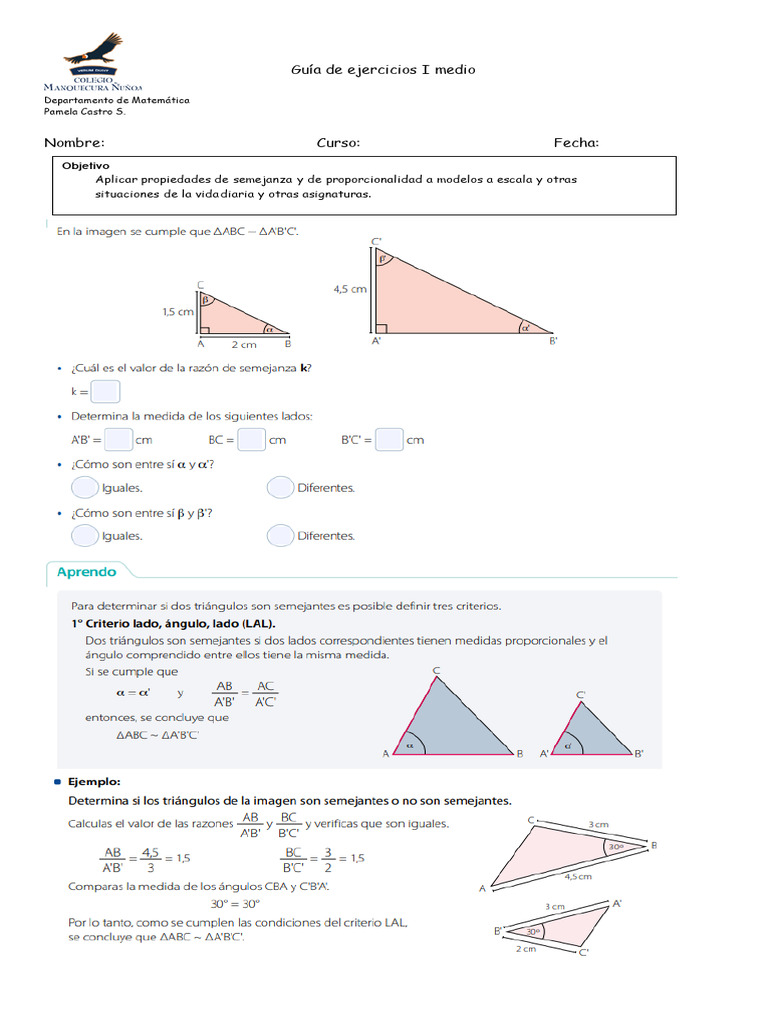 Guia Semejanza 3 | PDF