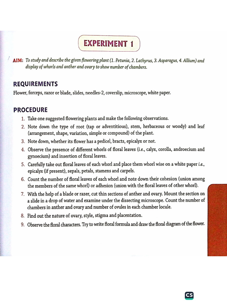 Grade 11 Biology Record Work | PDF