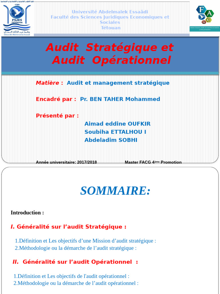 Audit Strategique Et Audit Operationnel - PPT | PDF