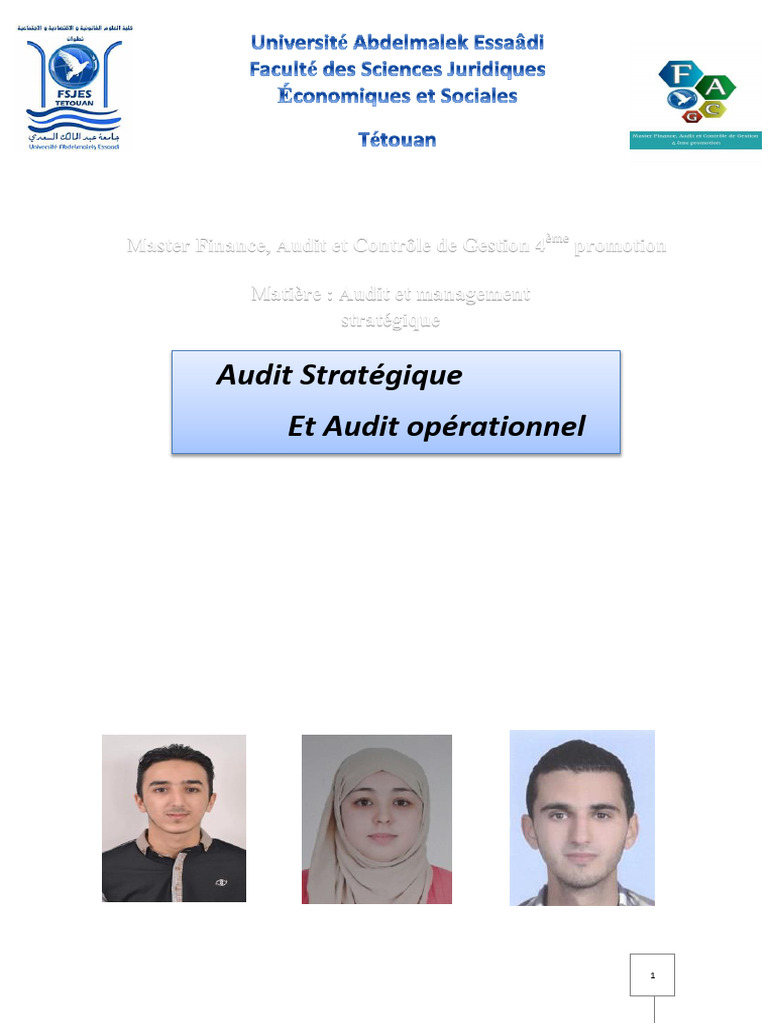 Audit Strategique Et Audit Operationnel | PDF
